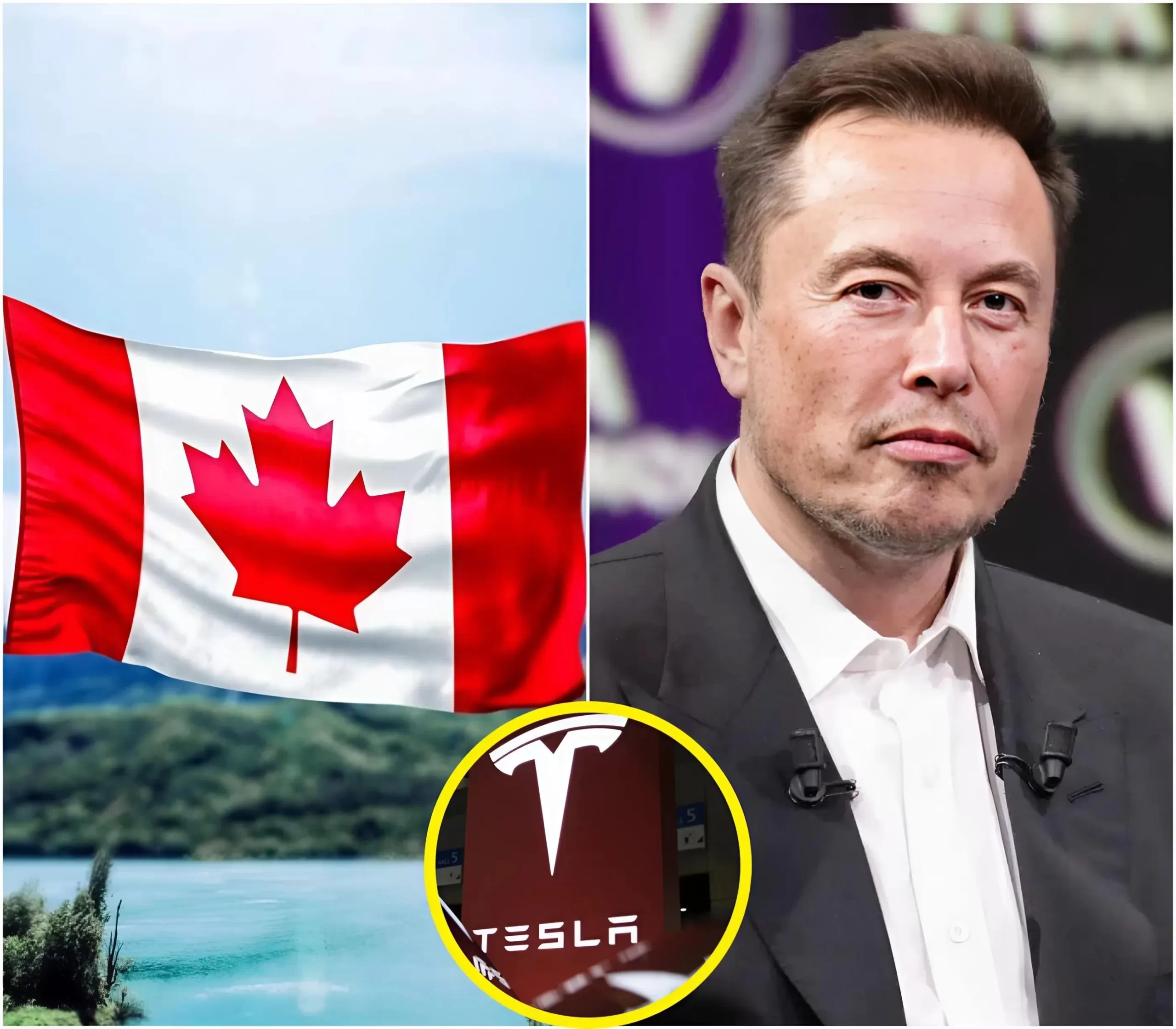 BREAKING NEWS: Elon Musk Responds with Shocking 9-Word Message ... BREAKING NEWS: Elon Musk Responds with Shocking 9-Word Message ...